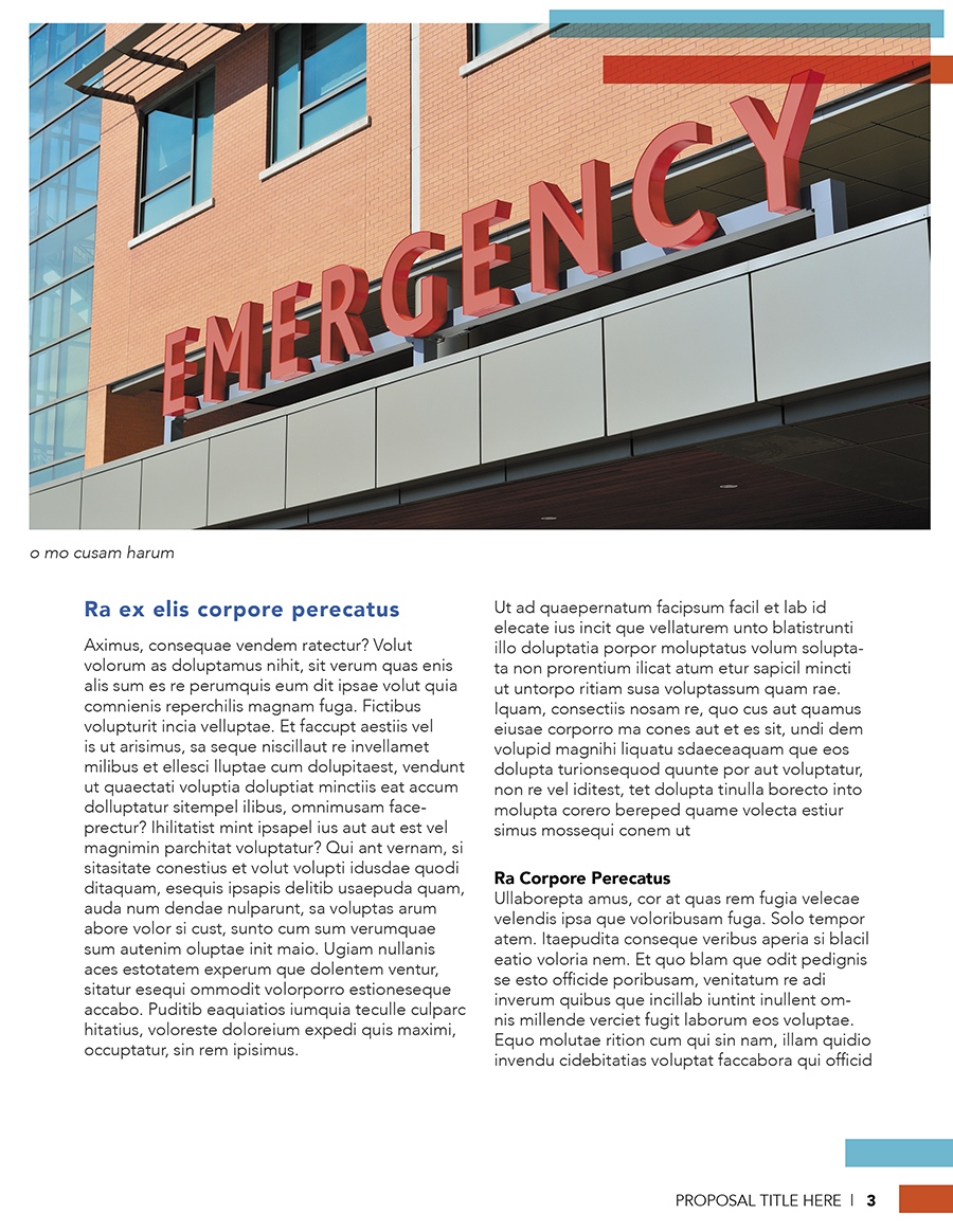 Healthcare Proposal Template: Expertly Designed